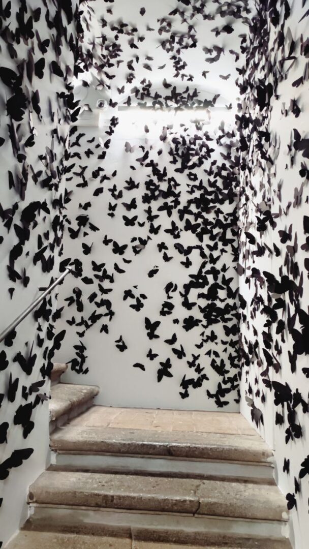 Crazy Roma: un'esplosione di creatività che non fa rumore